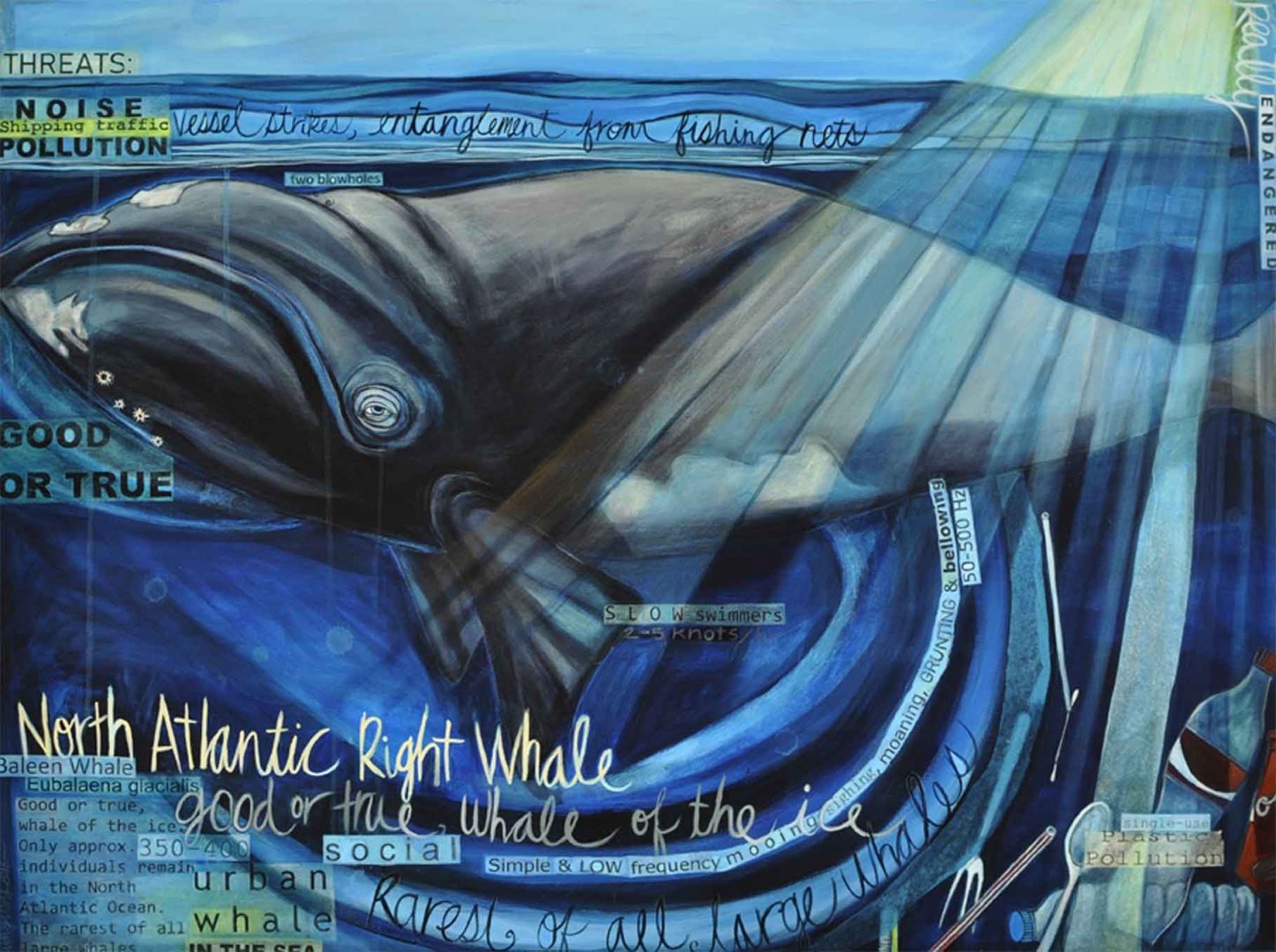 OPS Feature Artist - Oceanic Preservation Society