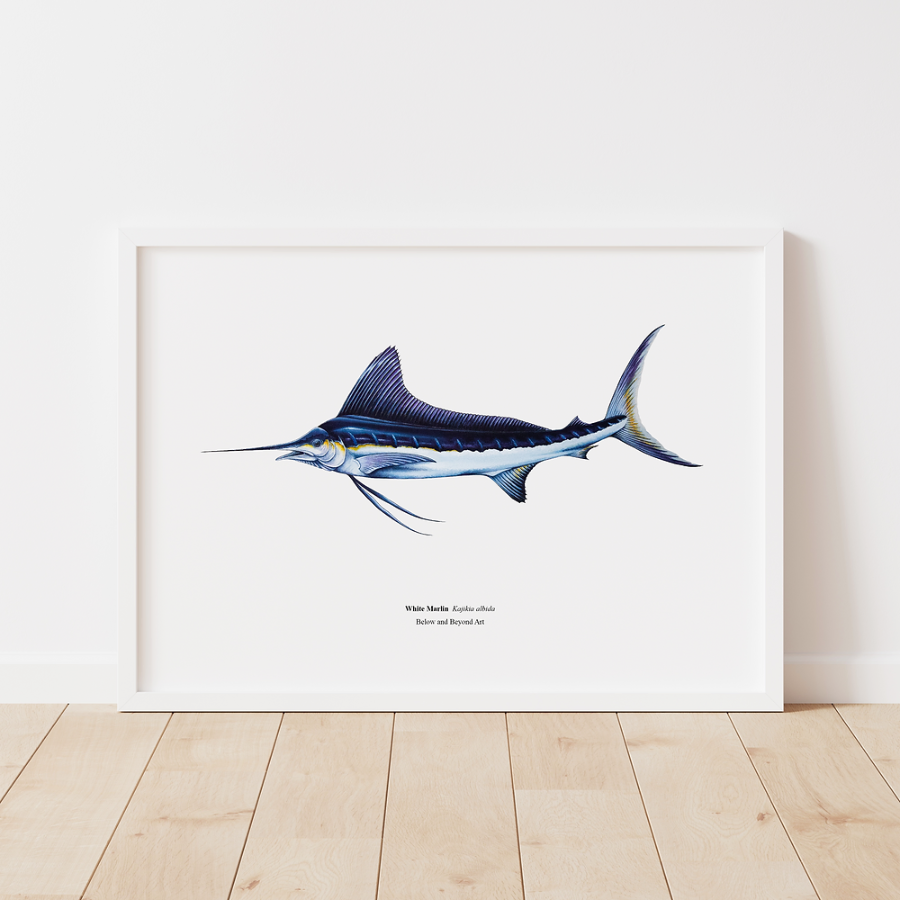 OPS Feature Artist - Oceanic Preservation Society